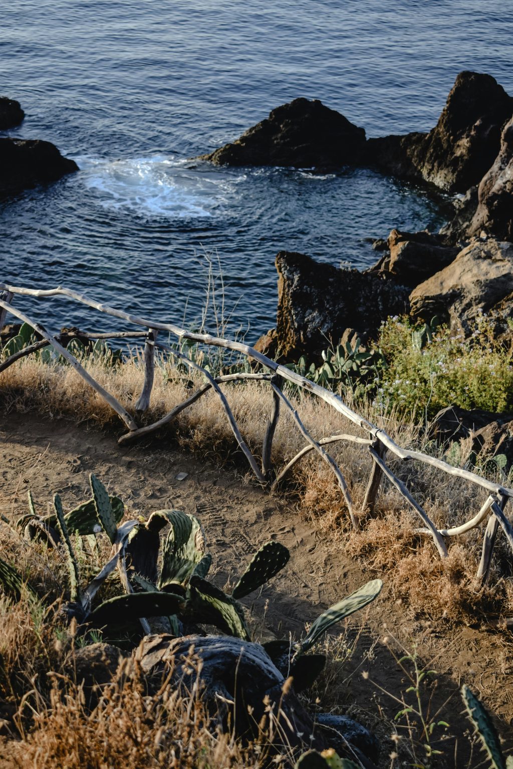 Volta à Cidade do Funchal - RaceFinder