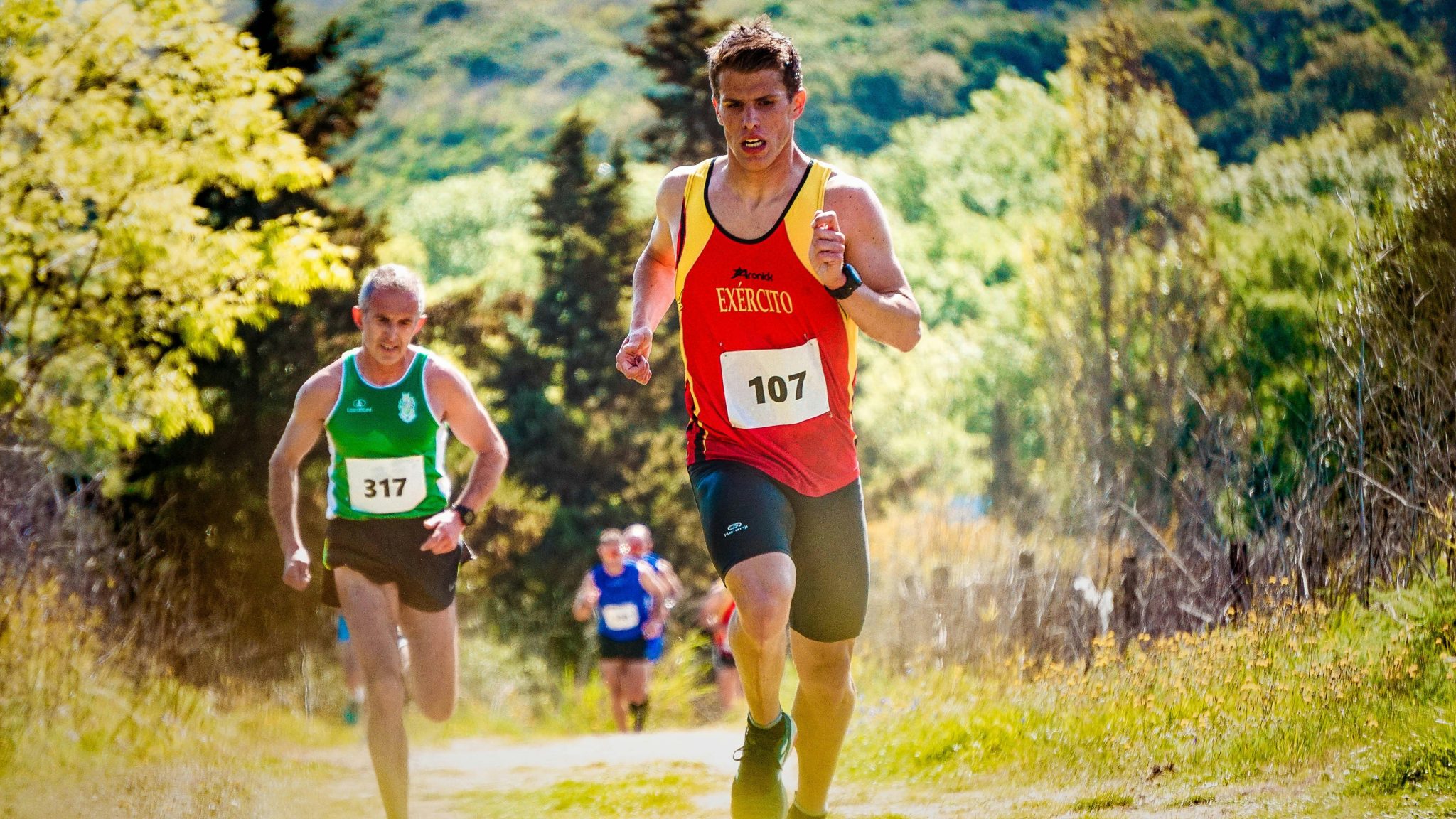 Corrida da Árvore - RaceFinder